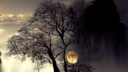 Открытка спокойной ночи приятных снов бесплатно