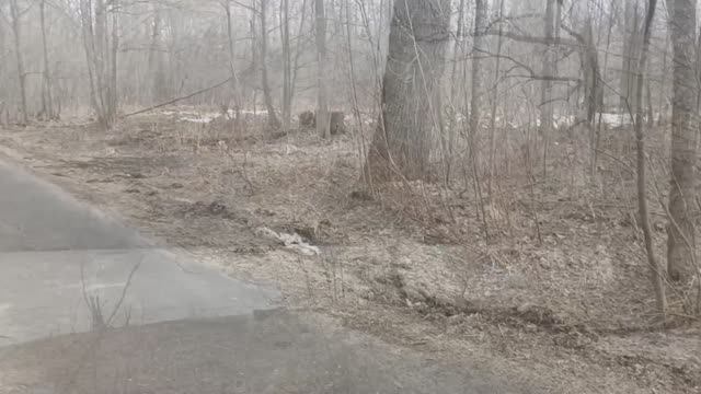 Рассказ ИМЕЙ ДЕЛО С ПОДУШКОЙ, А НЕ С ПОДРУЖКОЙ