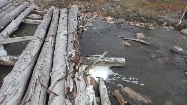 Сентябрь. Север. Целевой третий выход в лес. 14.09.25.