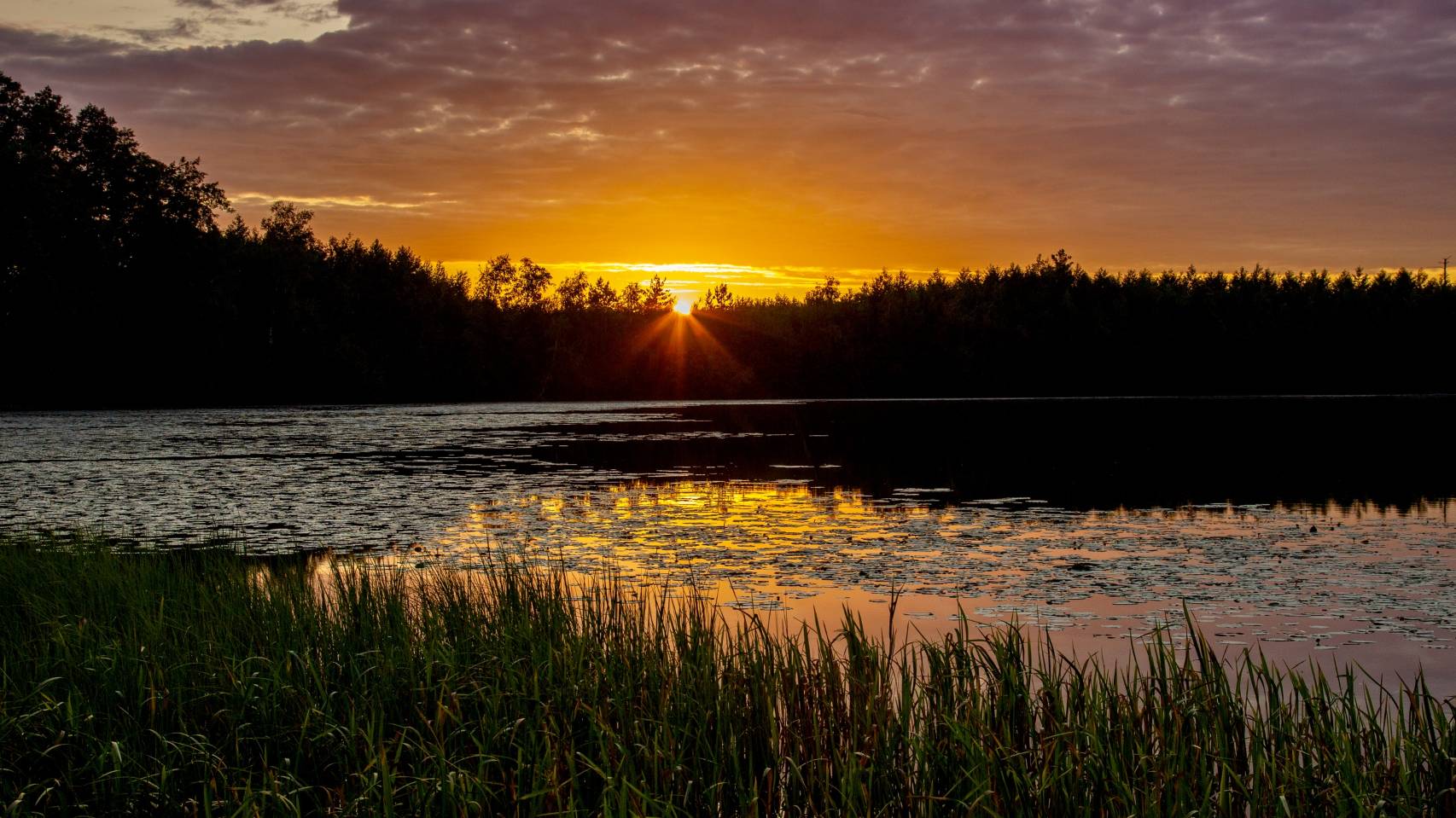 "ПОРА МЕЛАНХОЛИИ"... (Фото Андрея АБАКУМОВА (Рязань), музыка А. ЛАХИНИ и Р. ТАДЖБАХШ (Иран))
