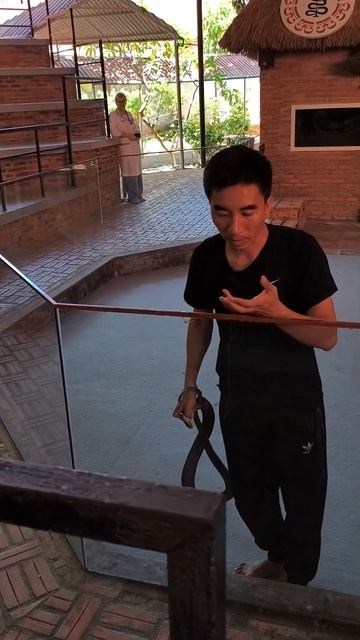 Сиамская Кобра дает ЯД. Бесплатная обзорка Вьетнам за 72 тысячи рублей с перелетом.@tutsi-dieti