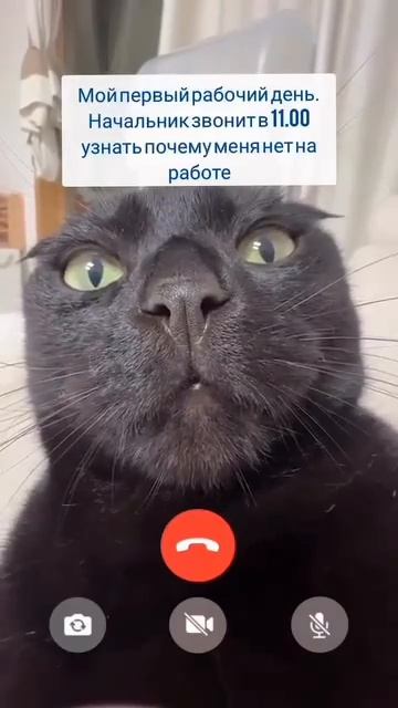 Мой первый день на новой работе
