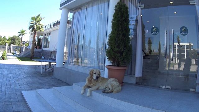 Обзор гостиницы ГрейсАкваВилла.  Абхазия