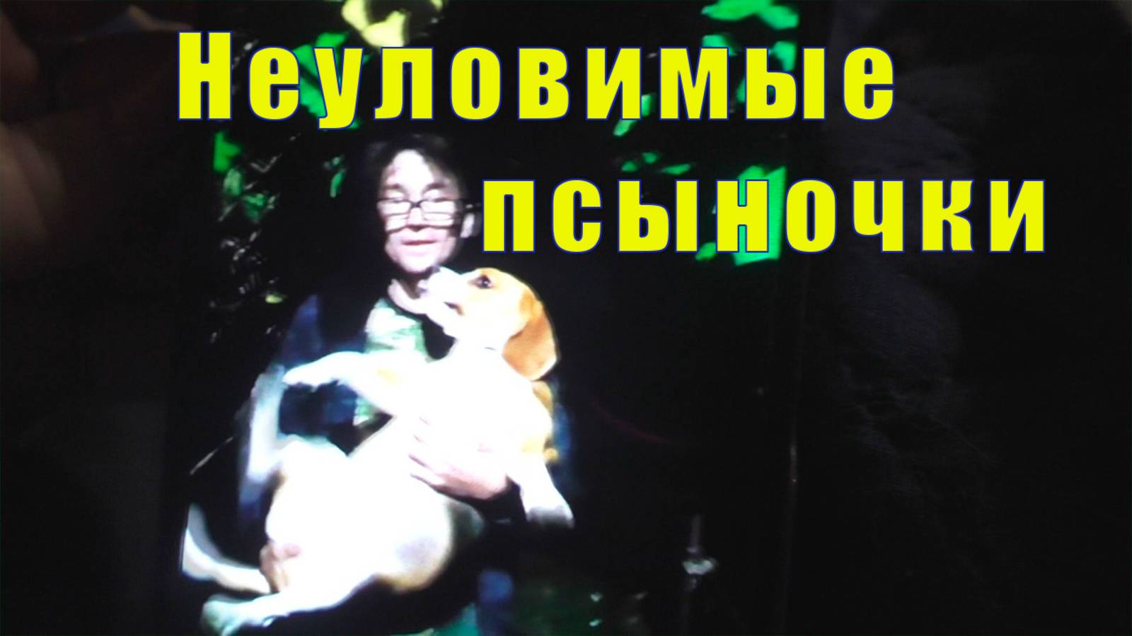 ЭТО ЧТО ТО НОВЕНЬКОЕ /НЕУЛОВИМЫЕ БИГЛИ /11 сентября 2025