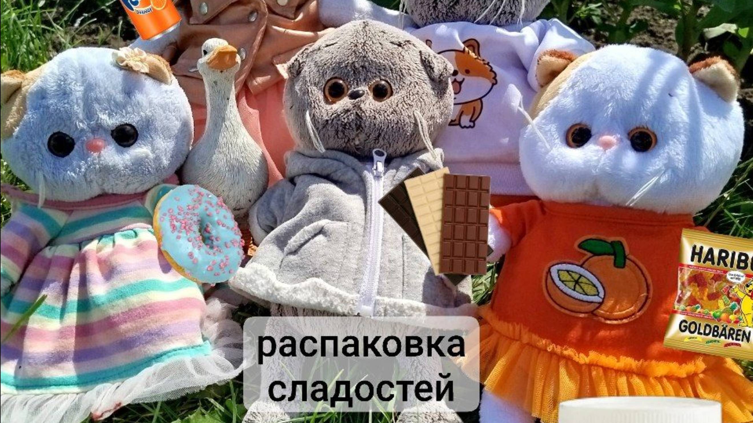 РАСПАКОВКА СЛАДОСТЕЙ ОТ БАСИКОВ ❤️ БАСИКИ И ЛИЛИ,БАСЯТА,КОТ БАСИК