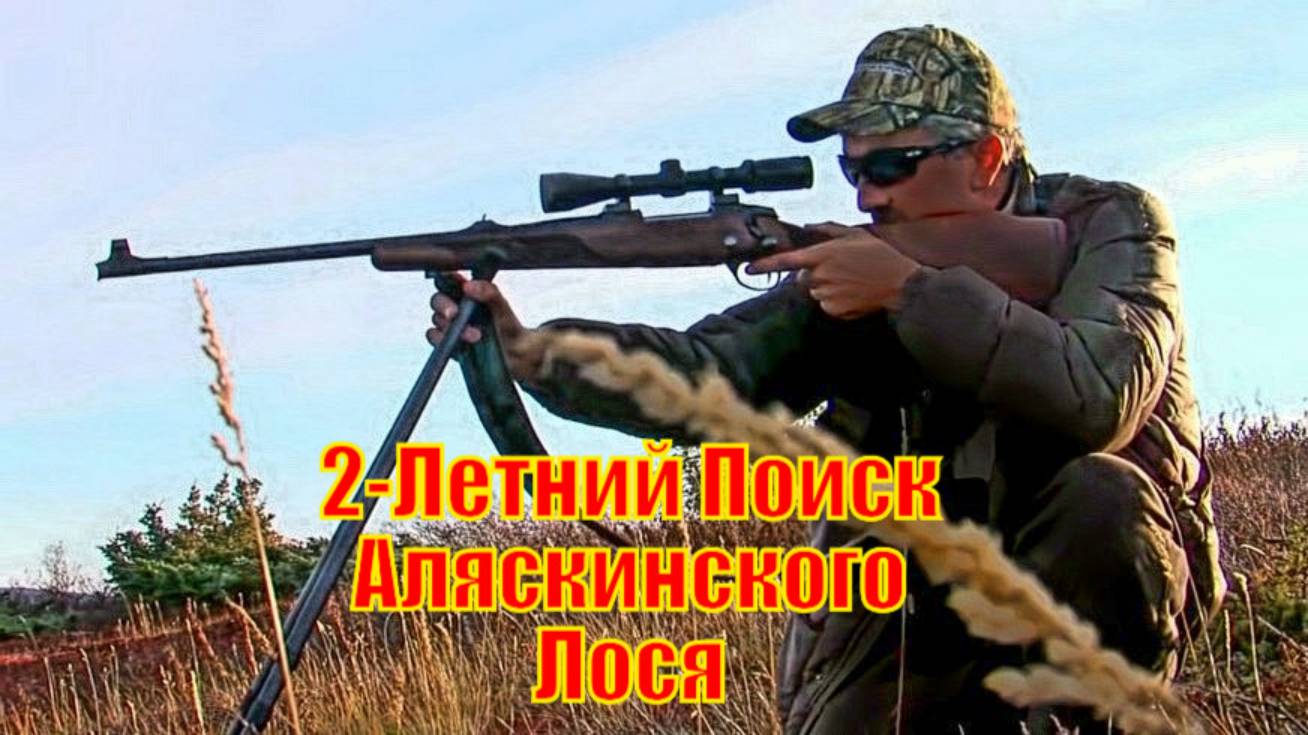 2-Летний Поиск Аляскинского Лося