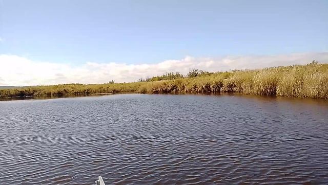 14 09 Осиновая Падь