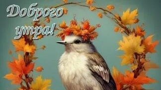 С добрым утром. Музыкальная открытка поздравление.