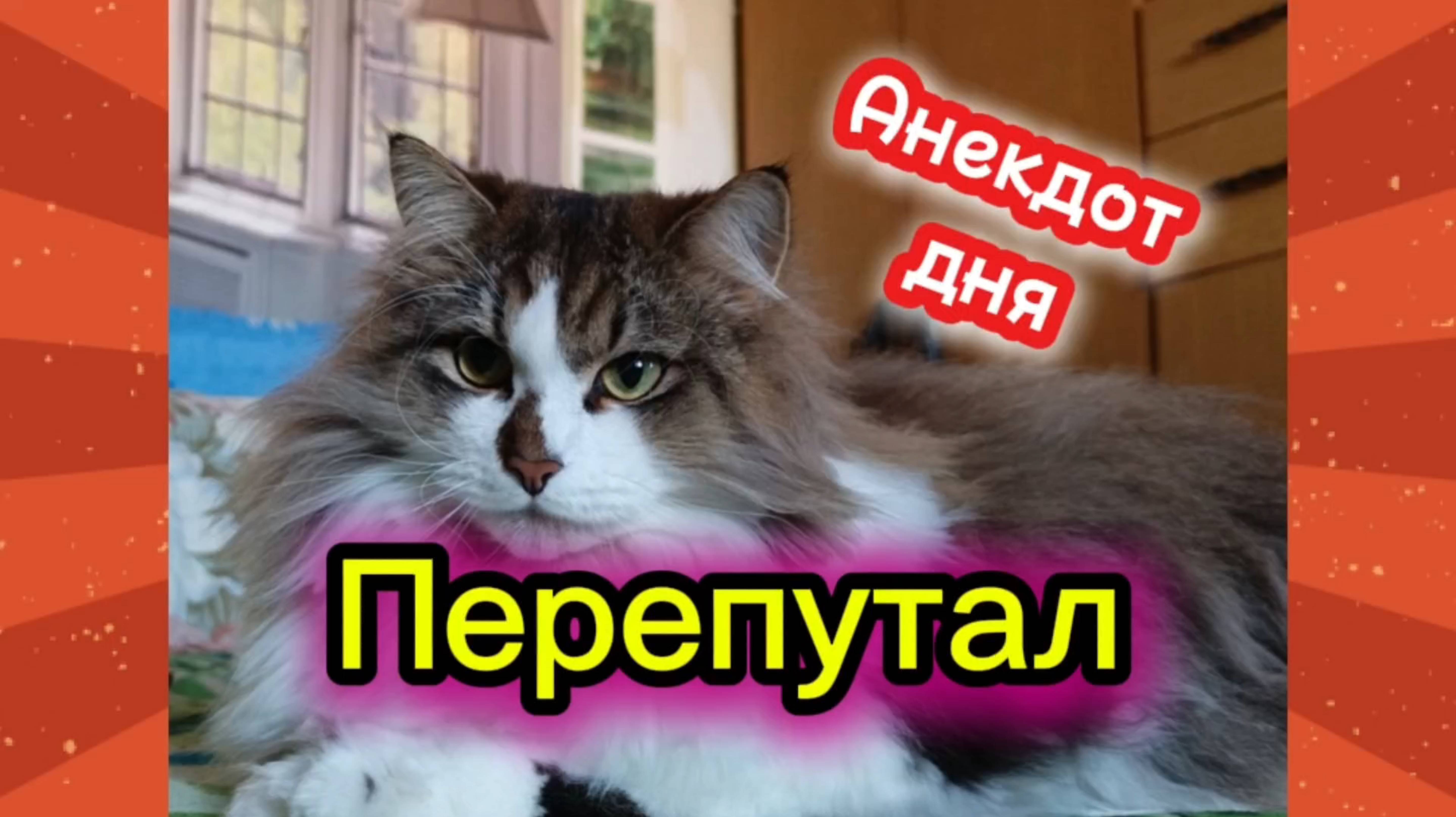 Анекдот дня.
