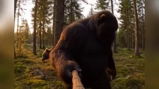 Новые лютые приколы из ТИК-ТОК #83