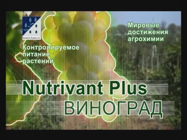 Нутривант Плюс Виноград
