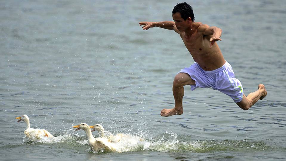 ✔️ СУПЕР НАРЕЗКА ПРИКОЛОВ И НЕУДАЧ 2025 СМОТРЕТЬ ВСЕМ ЧАСТЬ 204