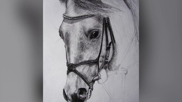 Рисунки животных | (Бумага, карандаш, акварель, пастель)