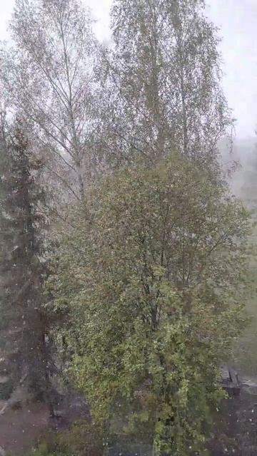 Чудеса мая