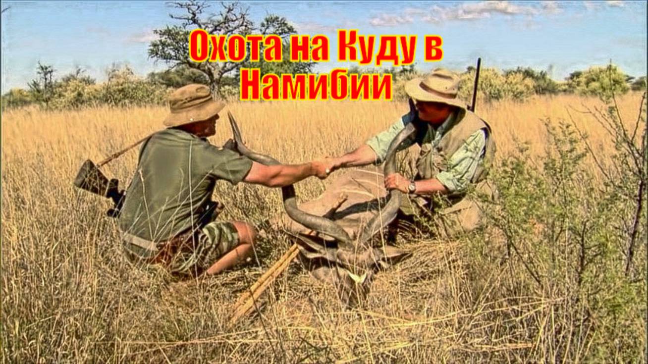 Охота на Гигантского Куду в Намибии