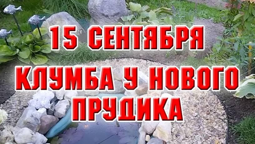 15 сентября. Зона у нового прудика преобразилась
