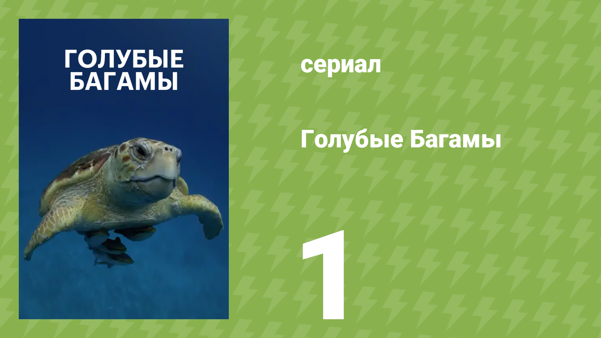 Голубые Багамы 1 серия «Голубые дыры и пещеры» (документальный сериал, 2015)