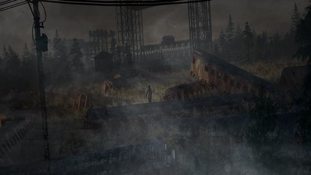 13 - Stalker