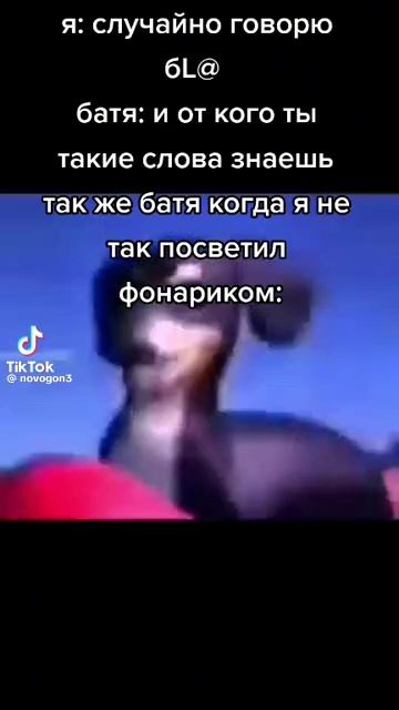 мемы