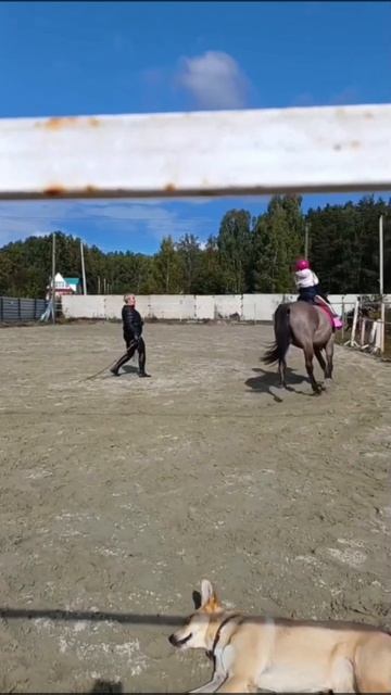 Наша вяточка, Золушка, бережно возит ребенка🌸