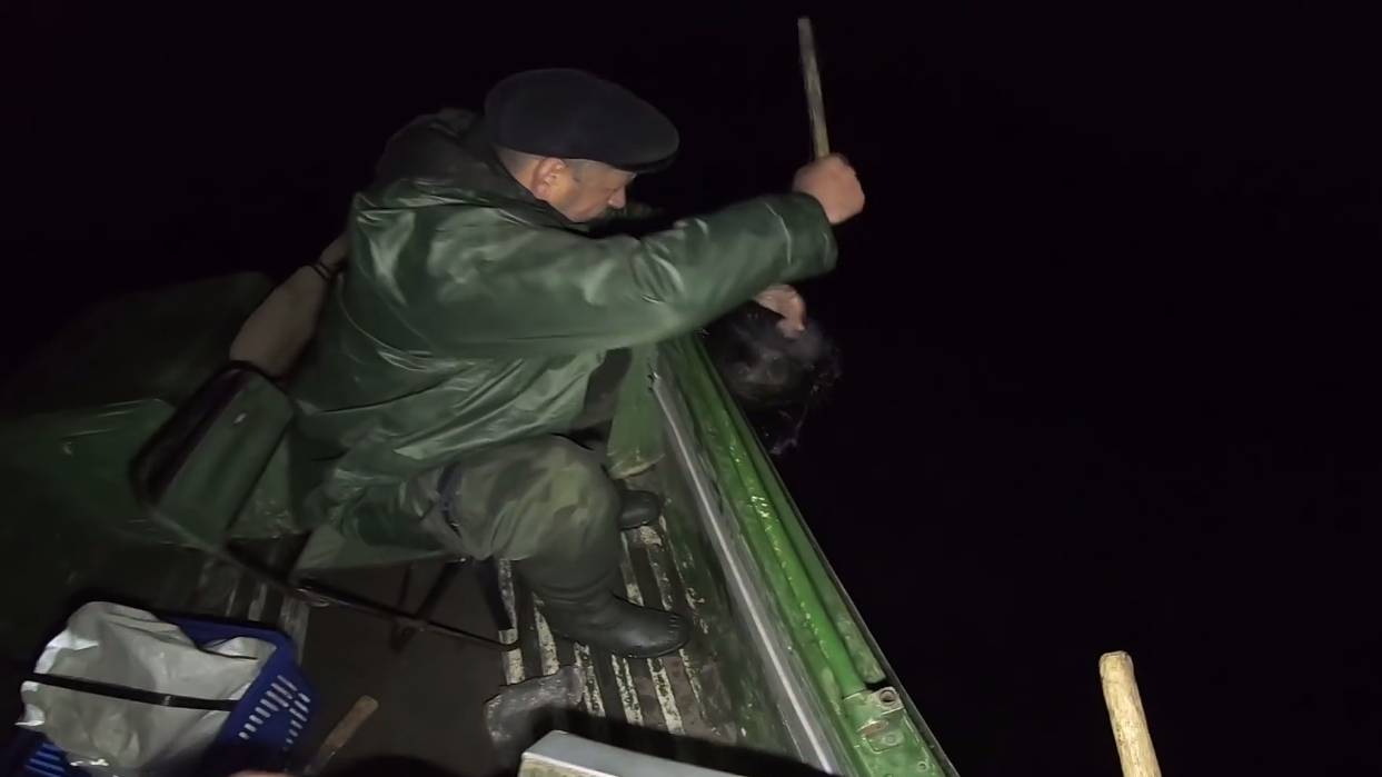 Рыбалка на реке. Налим на стук с лодки...