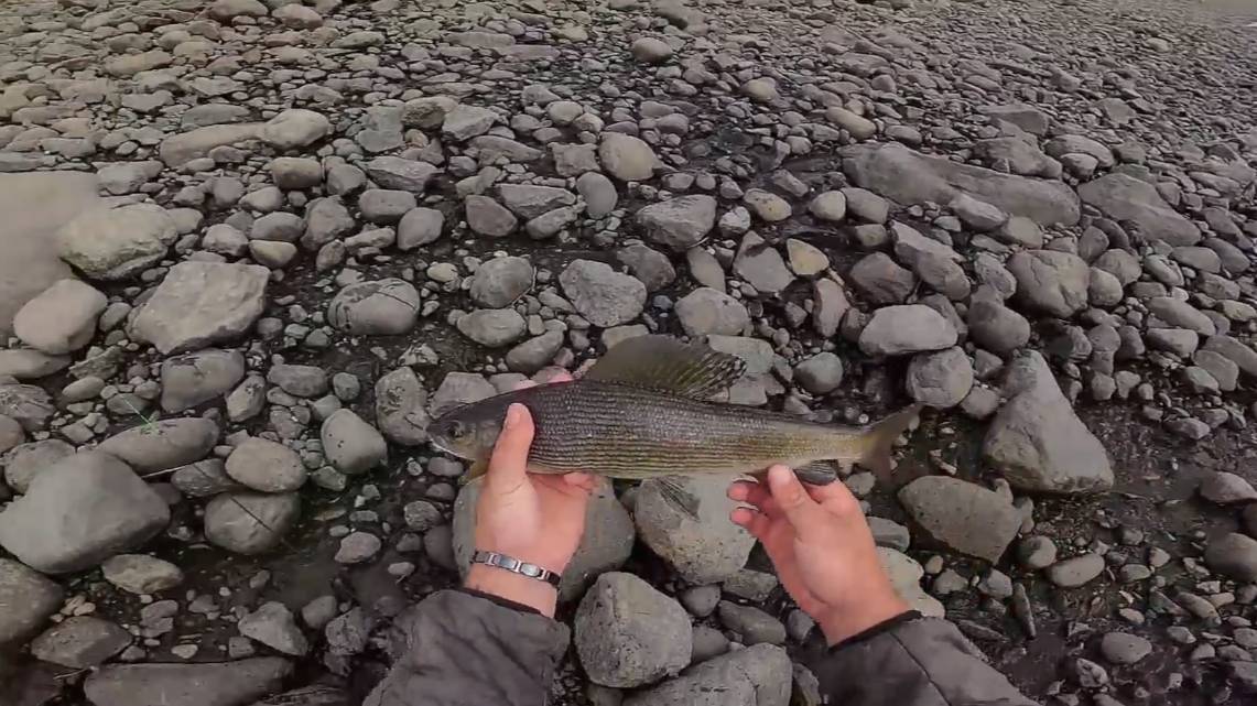 Рыбалка на реке. Ловля хариуса на спиннинг осенью. Часть первая.