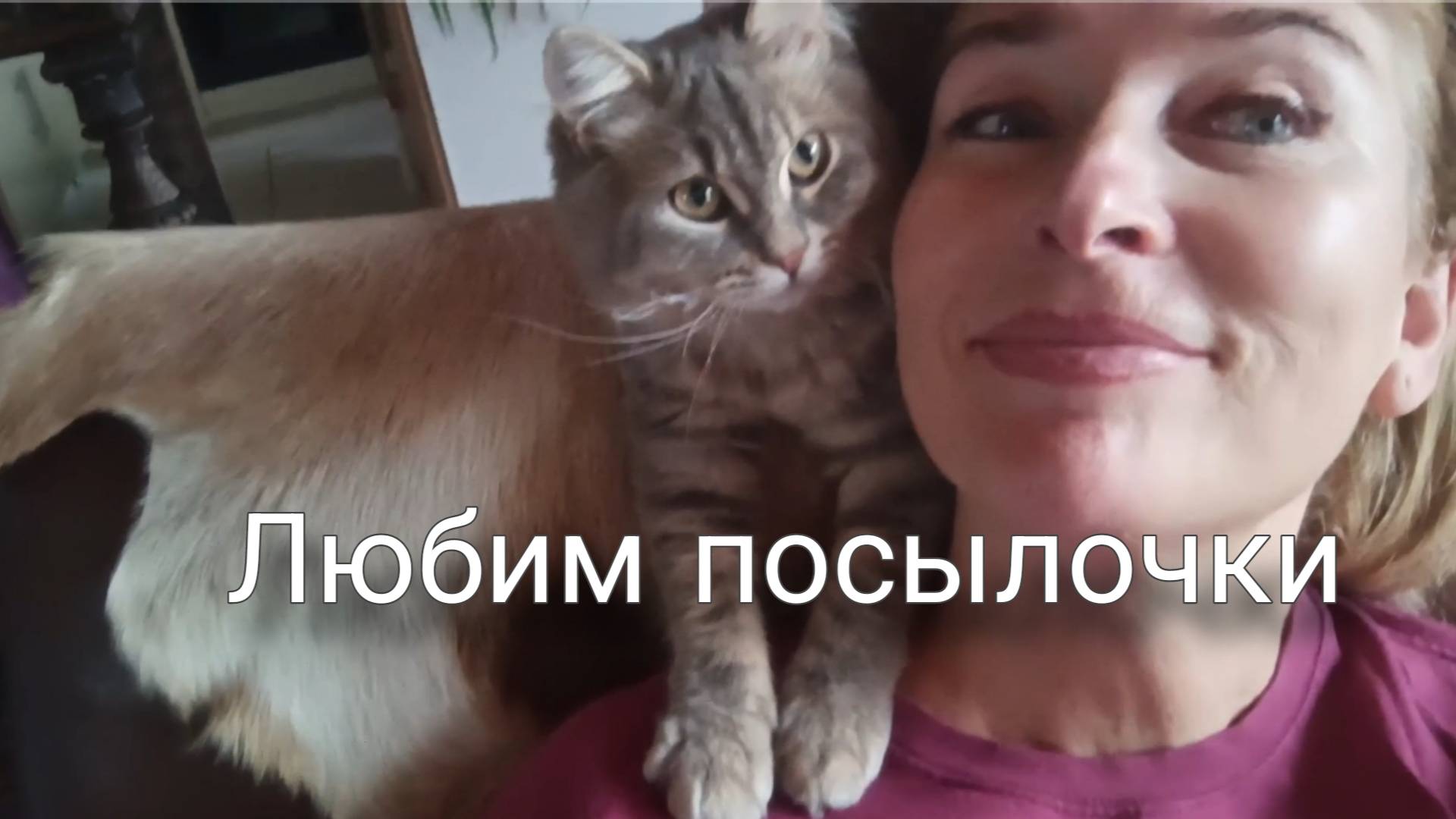 Как Денис руку сломал. Очередные покупки.