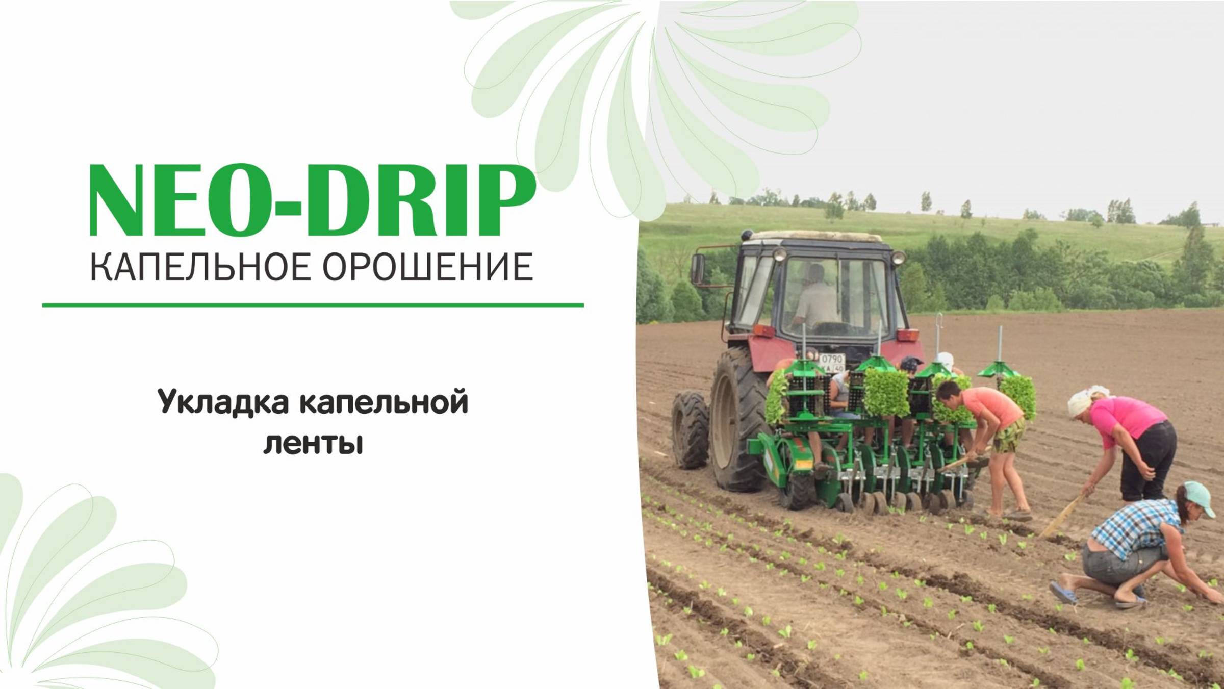 Укладка капельной ленты