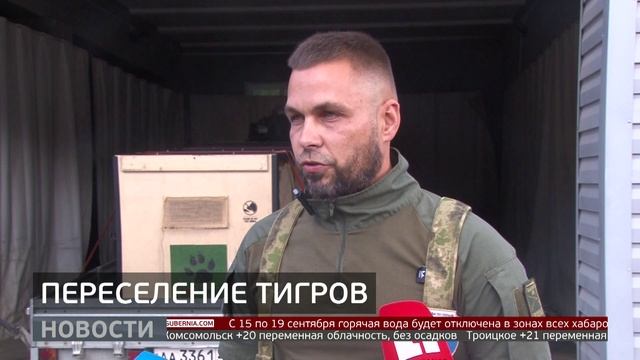 Переселение тигров. Новости. 15/09/2025. GuberniaTV