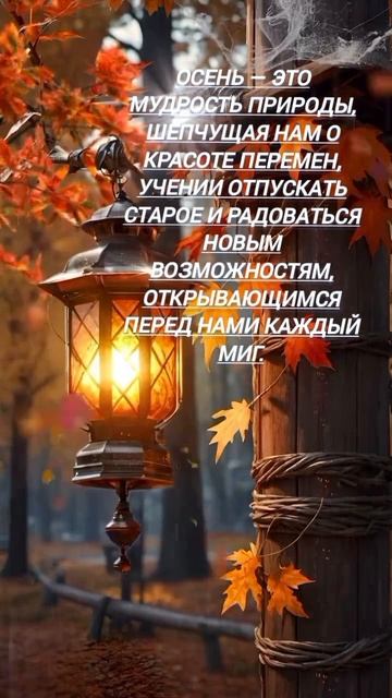 Видеооткрытка с цитатами