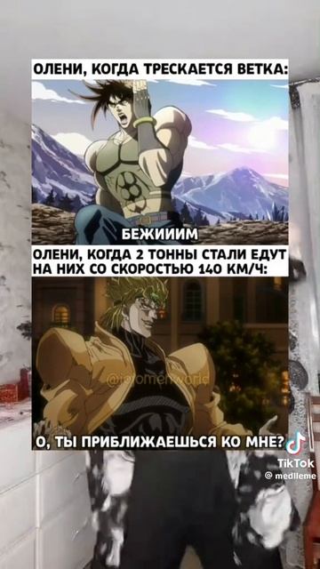 мемы