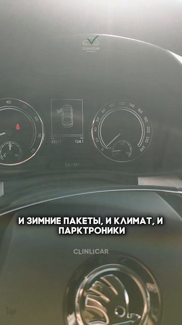 rapid  #clinlicar #automobile #автоподборспб #автоподбормосква