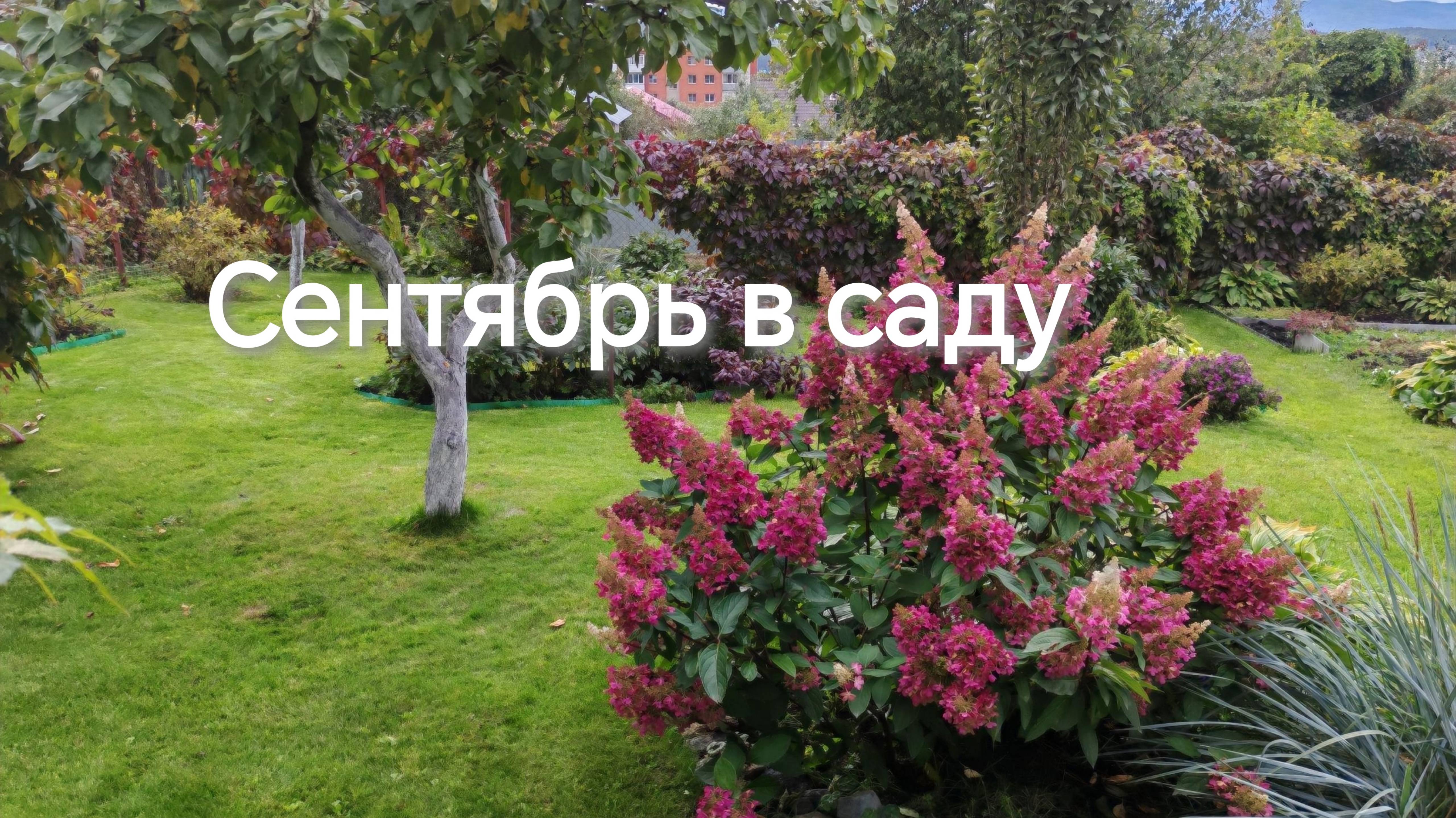 Сентябрь в саду