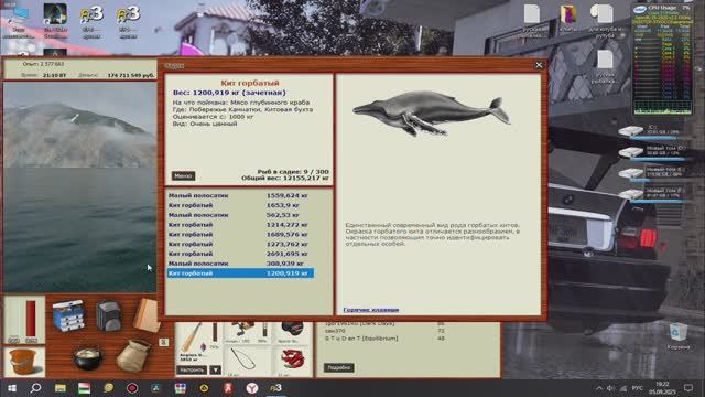 рр3 Побережье Камчятки Кит горбатый