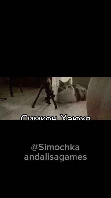 Косплей💀 | Симка и Алиса Rutube🎮