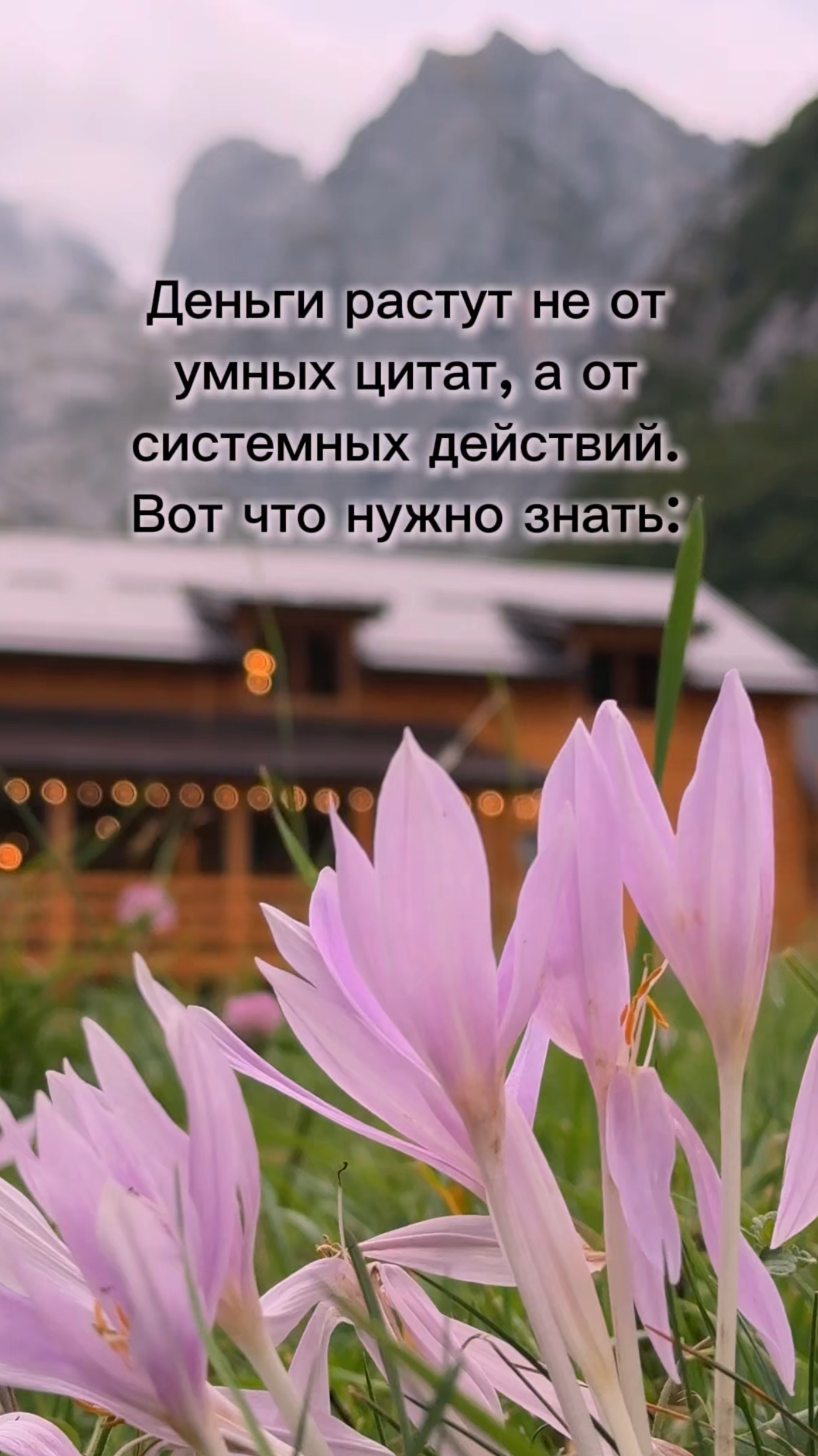 Хочешь расти? Строй систему