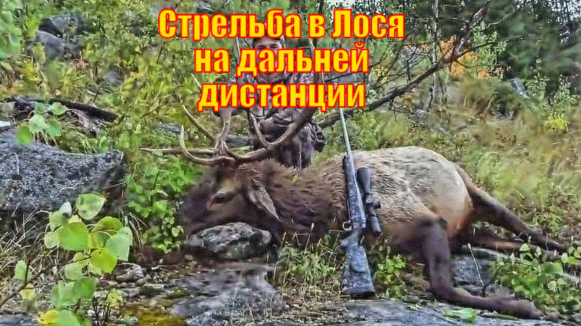 Стрельба в Лося на дальней дистанции