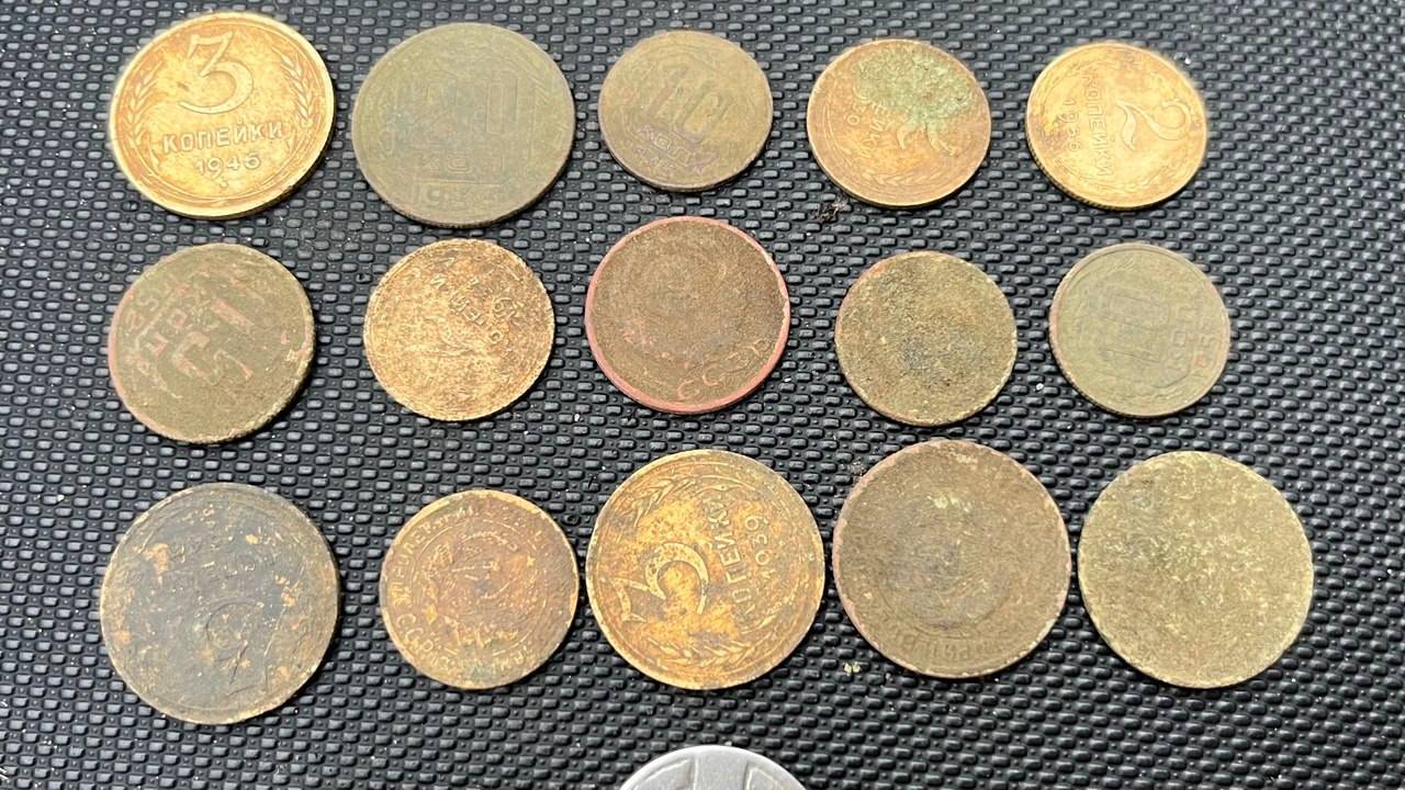 Жена в болото, я на коп - 3