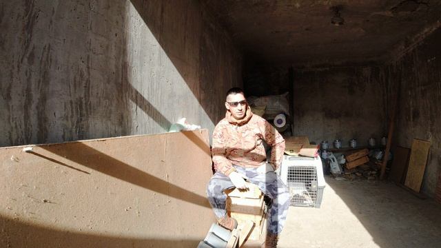 СЕКРЕТЫ ДРЕССИРОВКИ СОБАК! Дрессировка ОВЧАРКИ РАБОЧЕГО РАЗВЕДЕНИЯ. КАК стать ЛИДЕРОМ для собаки?