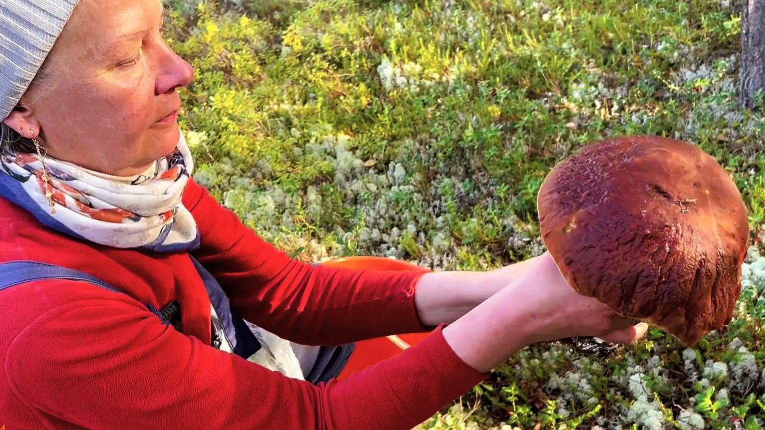 НАХОДКИ в погранзоне. Оформили разрешение и не пожалели! Брусника и грибы 2025