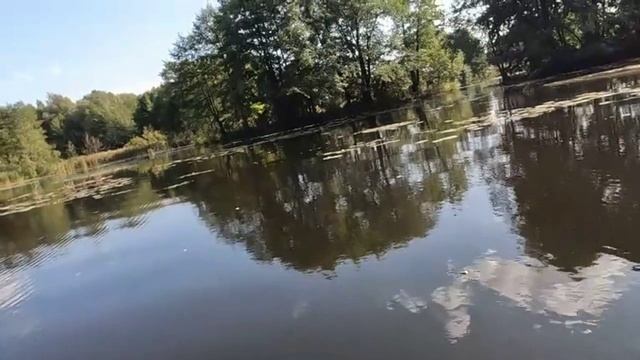 ПУТЕШЕСТВИЕ В ДИКУЮ ПРИРОДУ ФИЛЬМ 1-Й