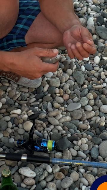 Идеальный отпуск!