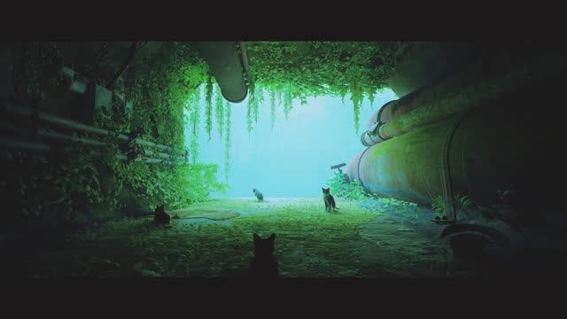 Stray. Внутри стен. Мертвый город. Часть 1