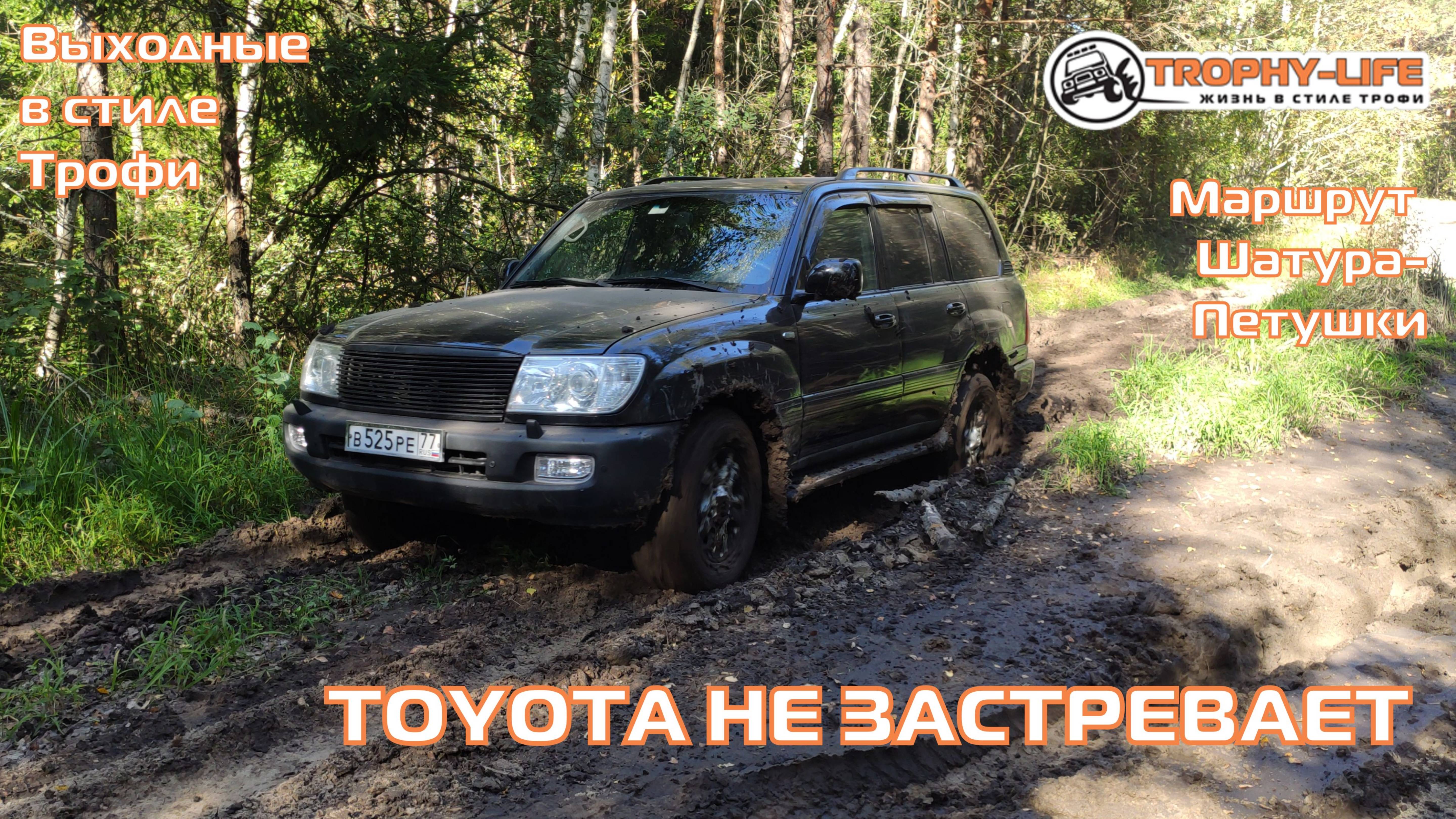 Шатура-Петушки - TOYOTA НЕ ЗАСТРЕВАЕТ - внедорожники на бездорожье 4х4 покатушка Трофи-лайф 2025