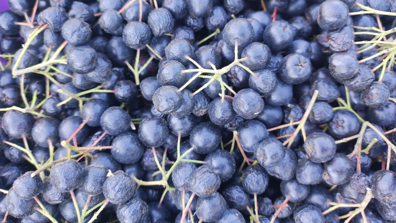 Варенье из черноплодеой рябины с цитрусовыми - просто и очень вкусно!