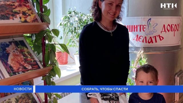 Собрать, чтобы спасти
