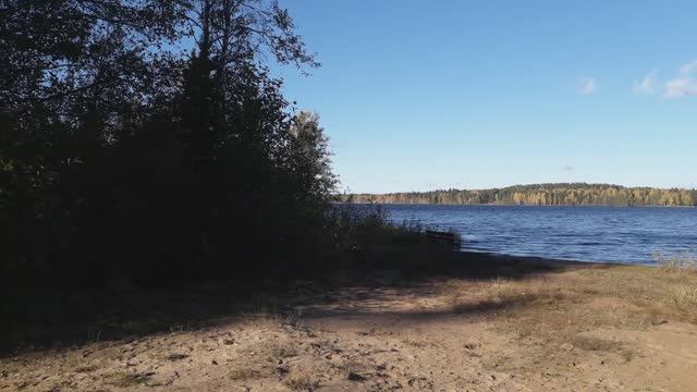 Санкт-Петербург. Золотая осень. Куда поехать отдыхать с детьми. "Лесная рапсодия", озеро Красавица.