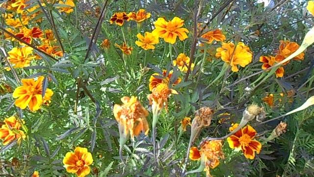 Поздравление для мамы!