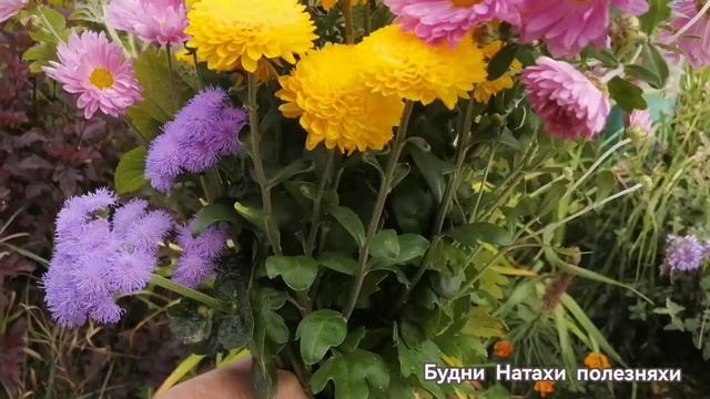 Дарите женщинам цветы, без повода! Букет с дачи!