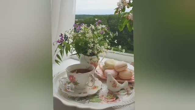 КРАСИВЫЕ СТИХИ ВИДЕОМОНТАЖ ЕЛЕНА МЕЛЬНИКОВА.